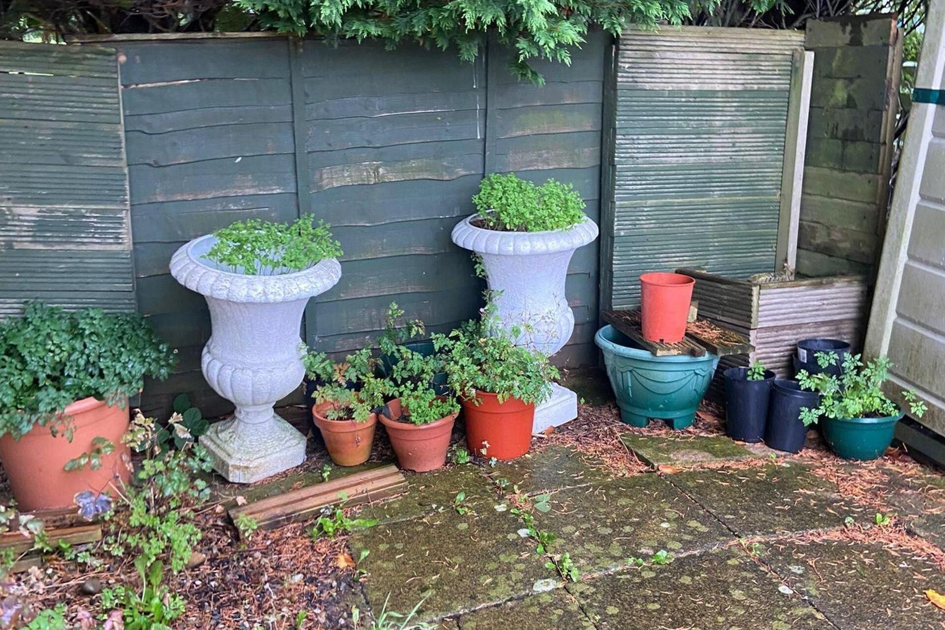 Uma área de jardim com diversas plantas em vasos, incluindo grandes cachepots em formato de vaso e vasos menores, dispostos sobre uma superfície de pedra.