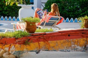 Pormenores do interior