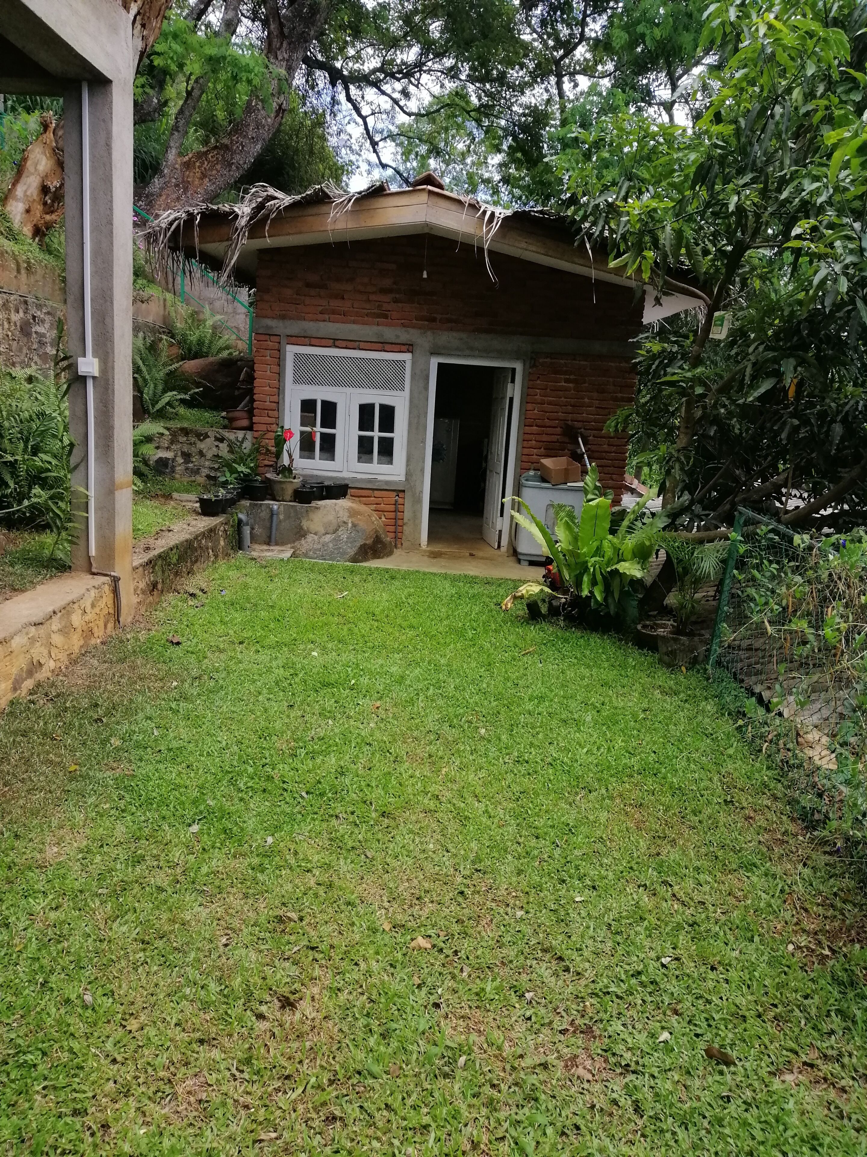 Jardim