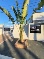 Entrada da propriedade