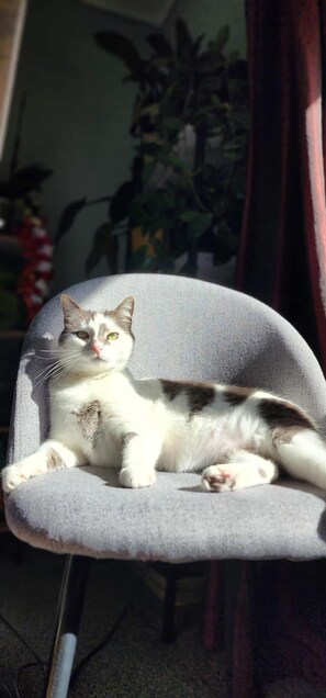 The Perfect Base to explore the Bay of Islands Reviews, Deals & Photos ...