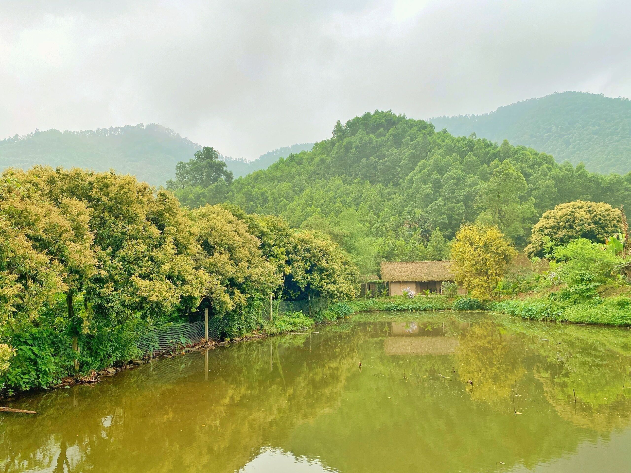 Cena serena à beira do lago com uma cabana tradicional de colmo, rodeada por vegetação exuberante e colinas ao fundo.