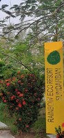 Um sinal amarelo com o texto 'RAINBOW ECORESORT' e 'SINDARPY' visíveis.