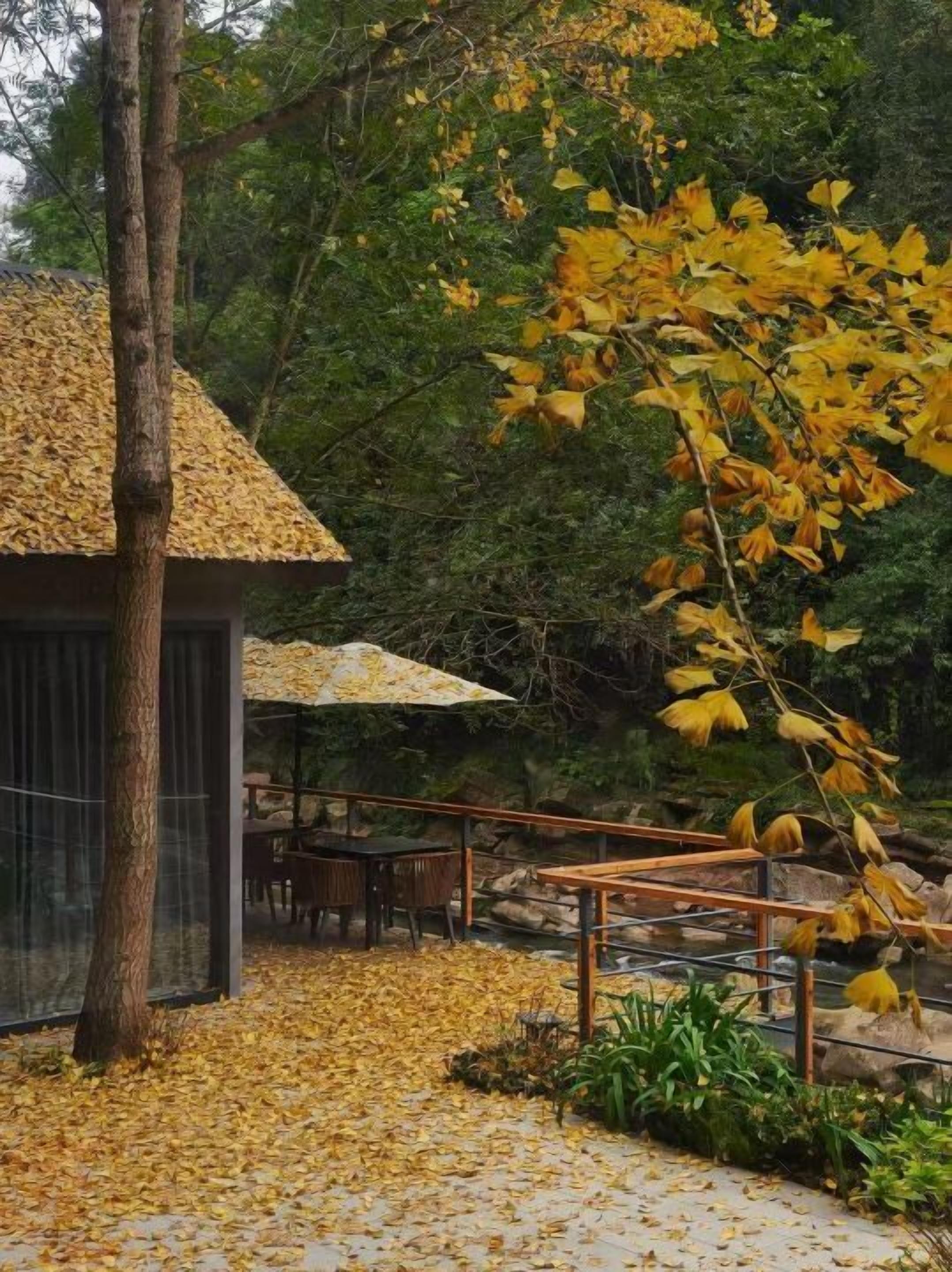 Suite Superior, aceitam-se animais de estimação, junto ao pátio | Cortinas/cortinados opacos, quartos insonorizados 