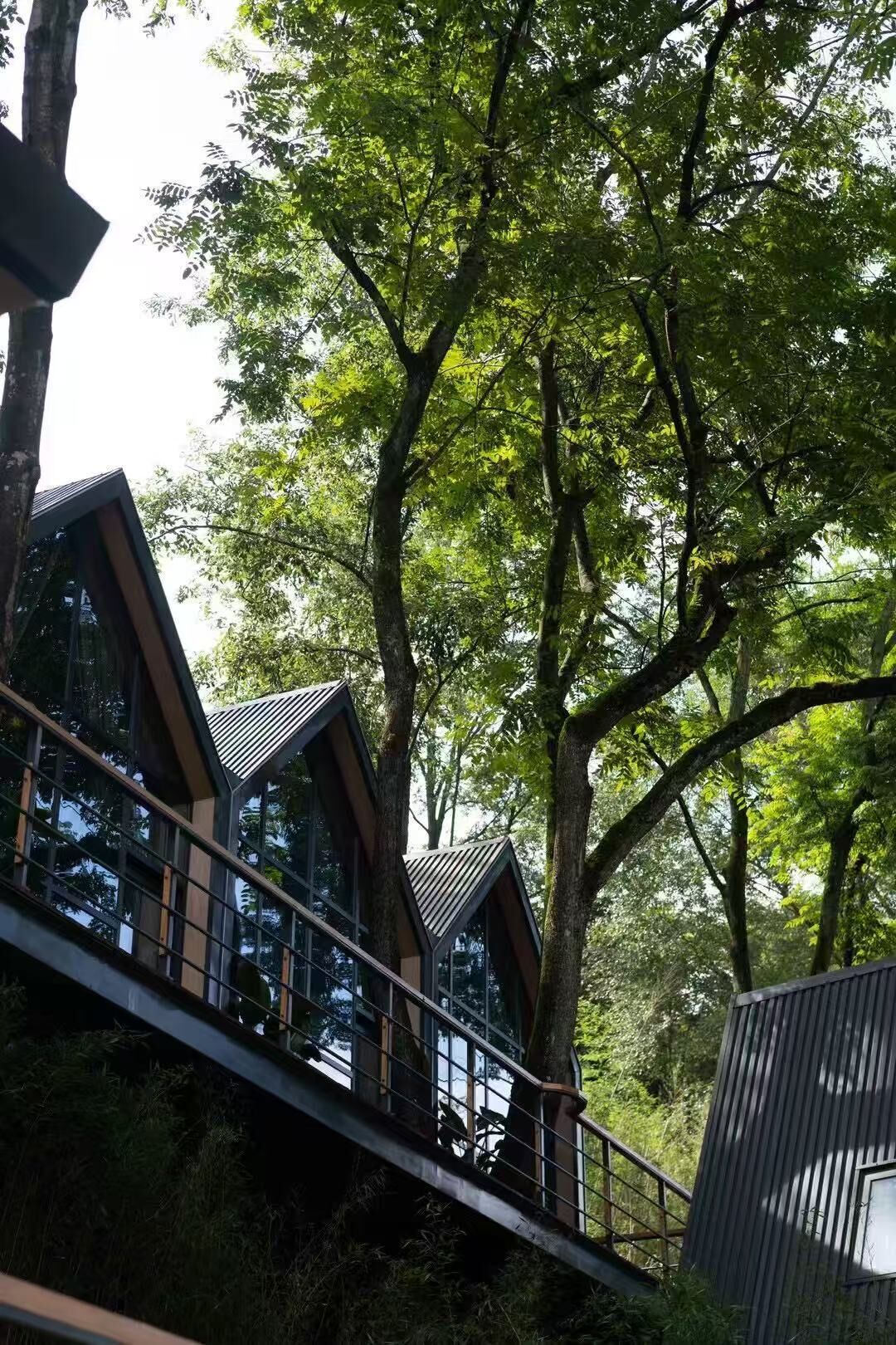 Cortinas/cortinados opacos, quartos insonorizados 