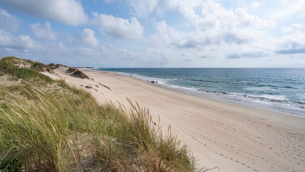 Uma praia com dunas de areia e o oceano.