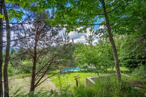 Apartamento | 1 quarto 