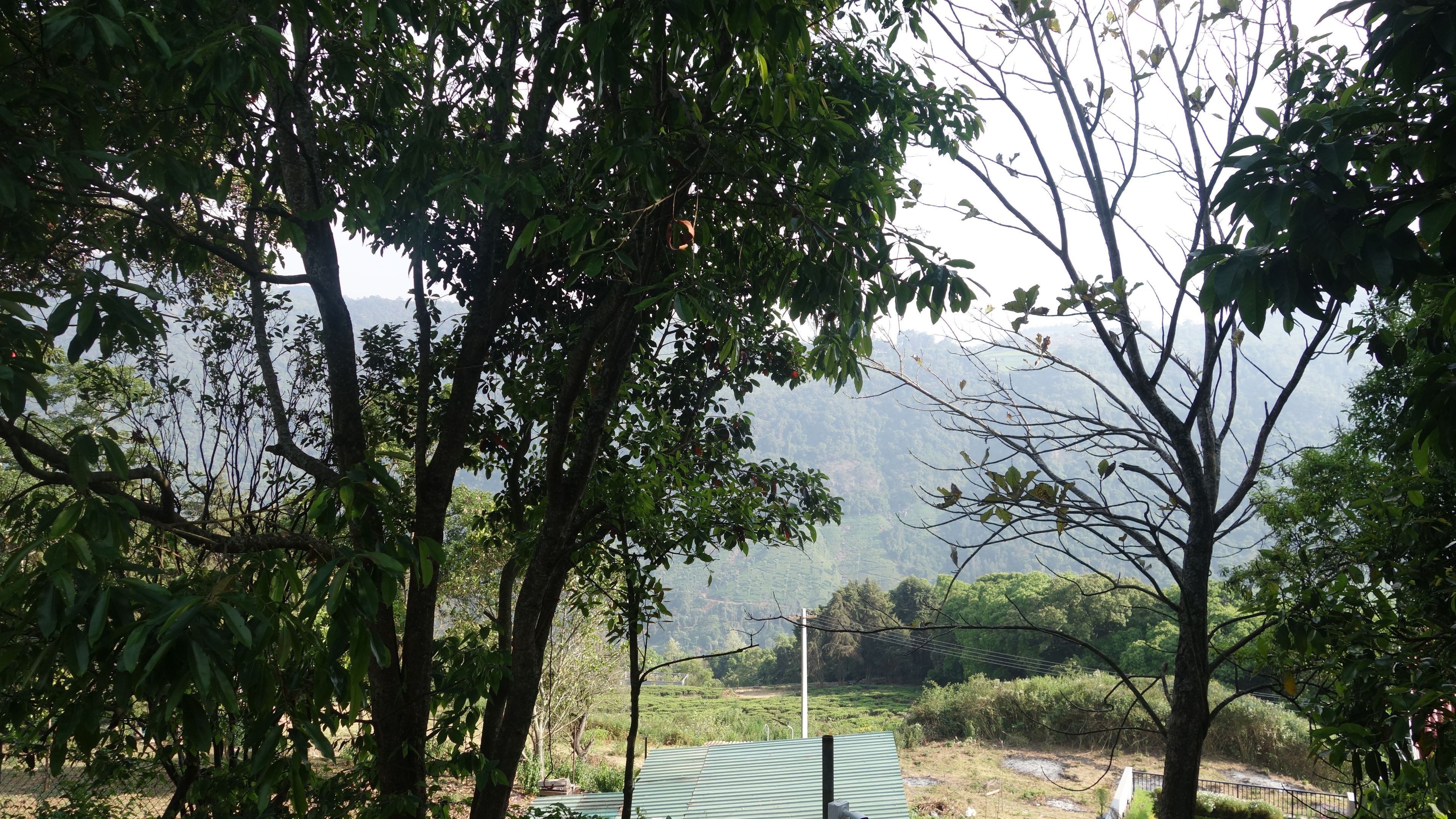 Paisagem rural com árvores, um edifício com telhado verde e um fundo montanhoso.