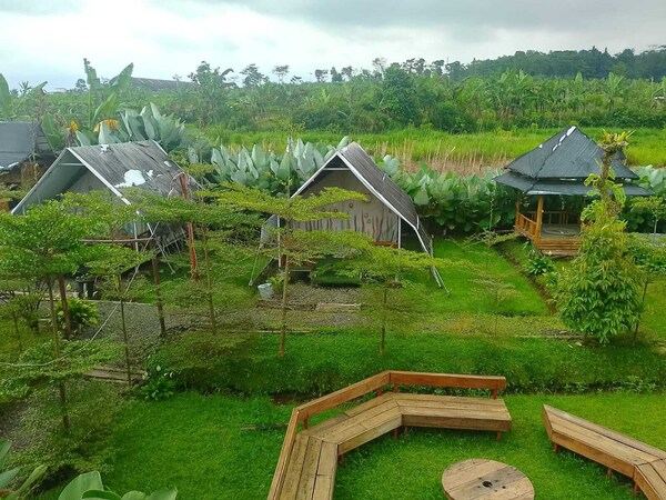 Jawa Dwipa Villa - Wonosobo
