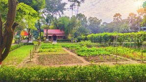 Um jardim com diversas plantas e um edifício com telhado vermelho.