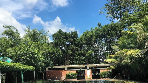 Um edifício com uma piscina refletora à frente, cercado por vegetação exuberante e árvores.