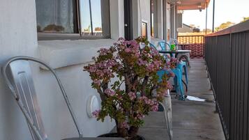 Quarto Familiar | Terraço/pátio interior