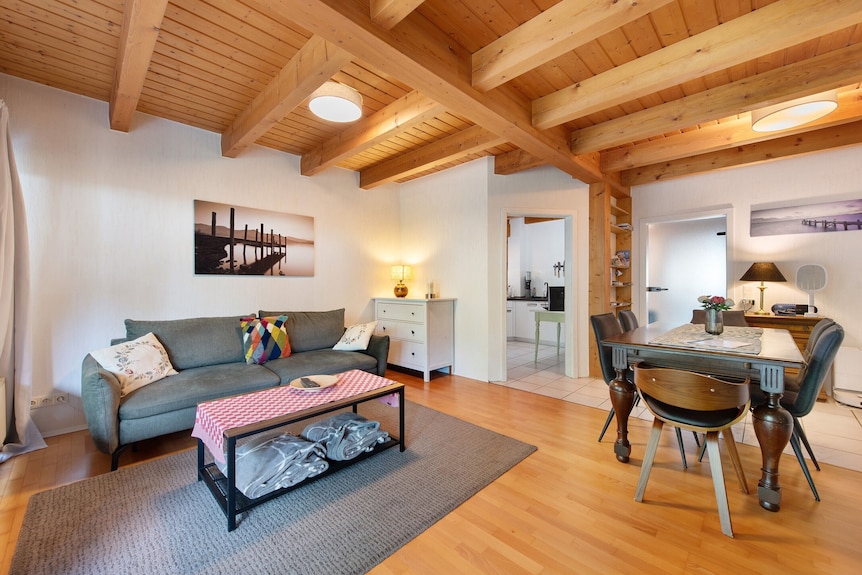 Modern Eingerichtete Ferienwohnung Casa Karin Mit Terrasse, Garten Und Sauna - Bodman-Ludwigshafen