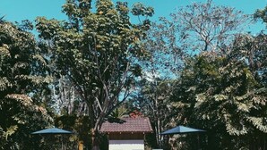 Um pequeno edifício com telhado em cerâmica, rodeado por árvores e mesas ao ar livre com guarda-sóis.