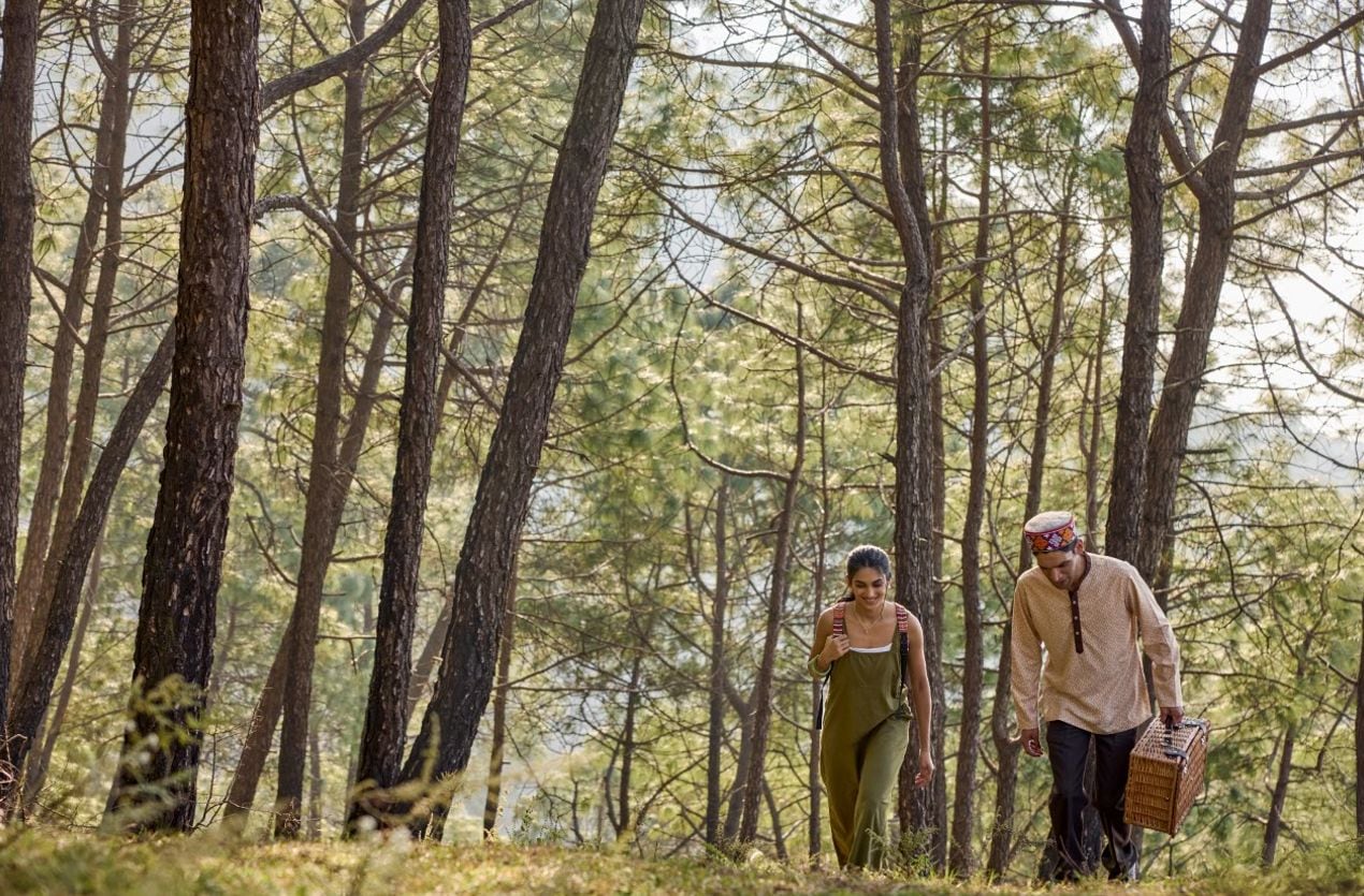 Duas pessoas caminhando por uma floresta com árvores altas.