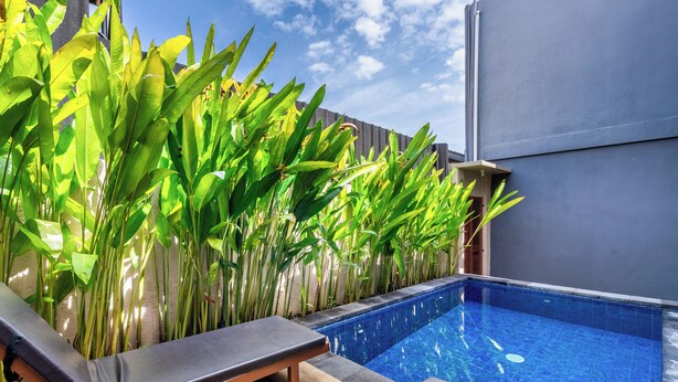 Uma piscina com borda azulejada, rodeada por espreguiçadeiras e plantas verdes altas.