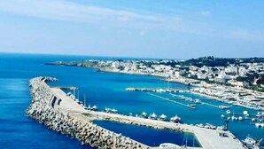 Uma marina costeira com barcos atracados, um molhe rochoso e uma cidade ao fundo.