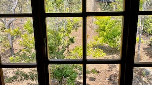 Visão através de uma janela com vários painéis, mostrando um jardim com diversas árvores e arbustos.