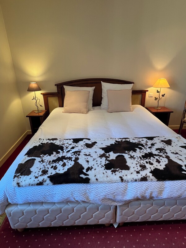 Home Le Soft - Vic-sur-Cère