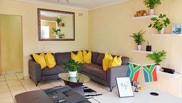 Smart TV, Netflix, serviços de streaming