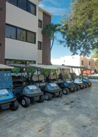Uma fileira de carrinhos de golfe estacionados em frente a um edifício com janelas amplas e uma árvore.