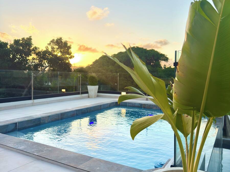Piscina com vista para o pôr do sol, rodeada por um terraço ladrilhado e uma grande planta em vaso.