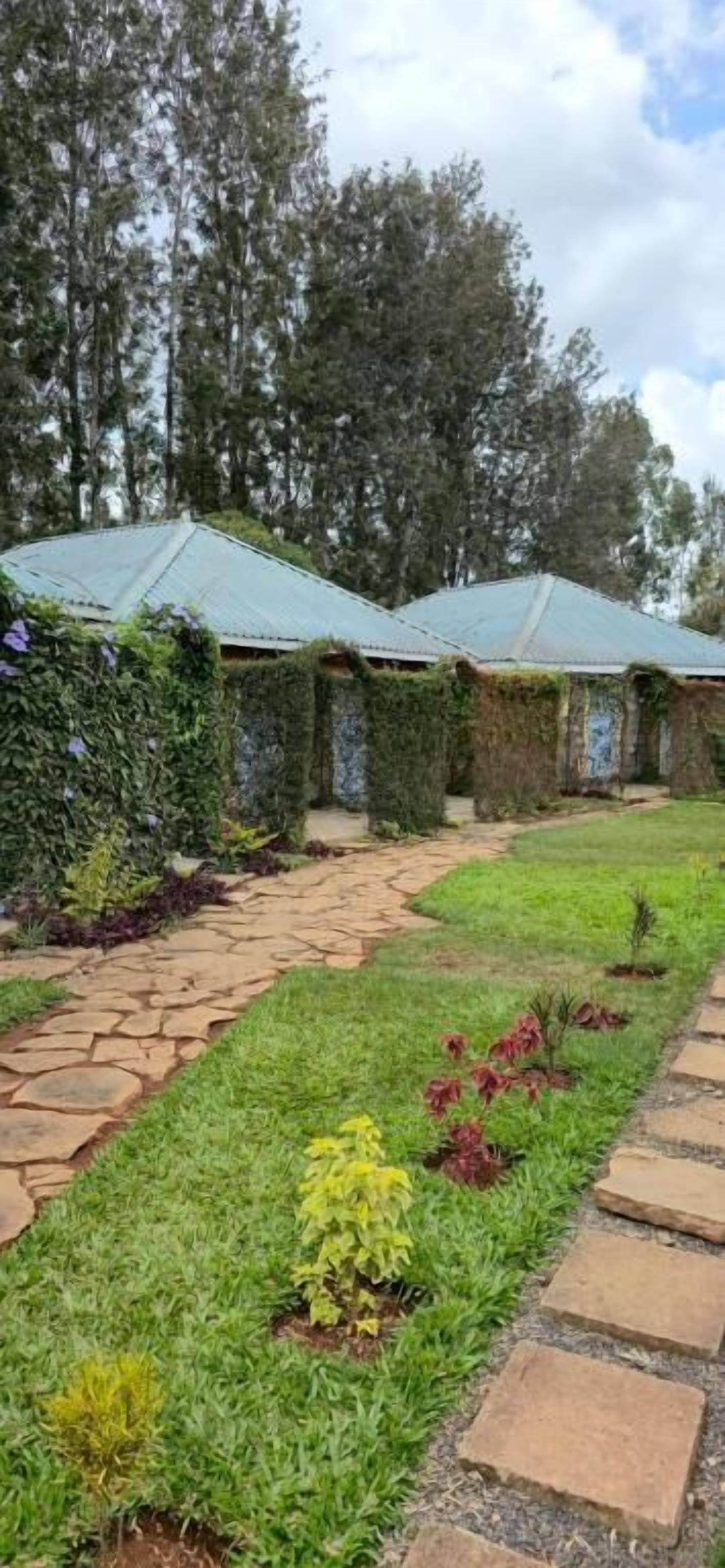 Uma trilha no jardim leva a um edifício com telhado de metal, cercado por vegetação e uma borda de pedra.