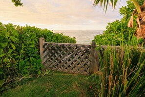 Apartamento, 1 quarto | Área da propriedade