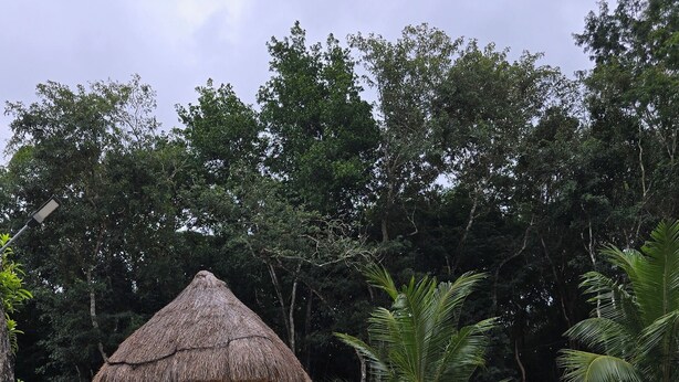 Uma piscina com cascata, rodeada por vegetação tropical e uma estrutura com telhado de palha.