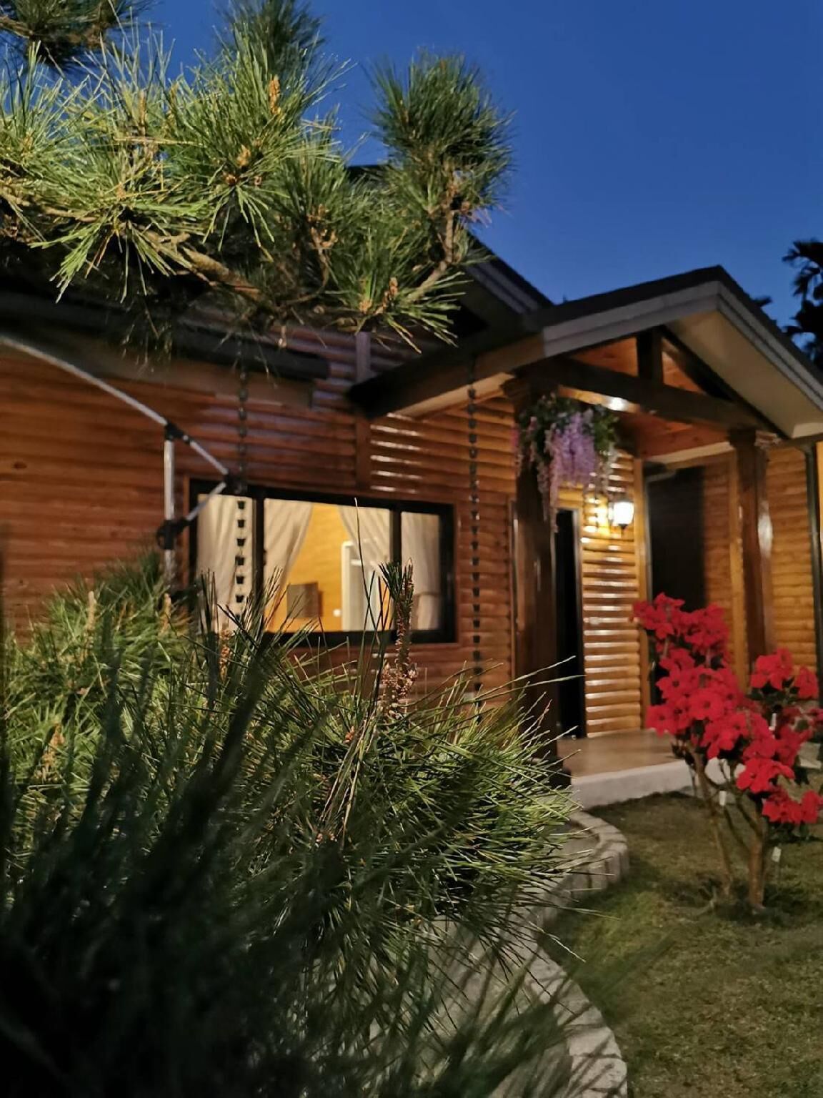 Uma casa de madeira com janela e porta visíveis, rodeada por vegetação e um pequeno jardim.