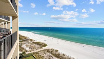 Condo com design assinado, 2 quartos, sacada, vista para a praia | Vista da sacada