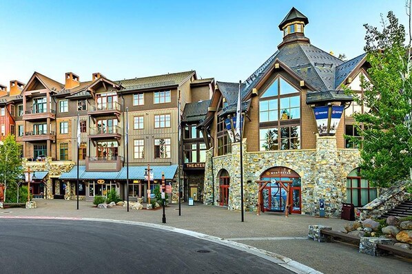 Dog-Friendly, Modern Condo by Shuttle Stop! Reviews, Deals & Photos ...