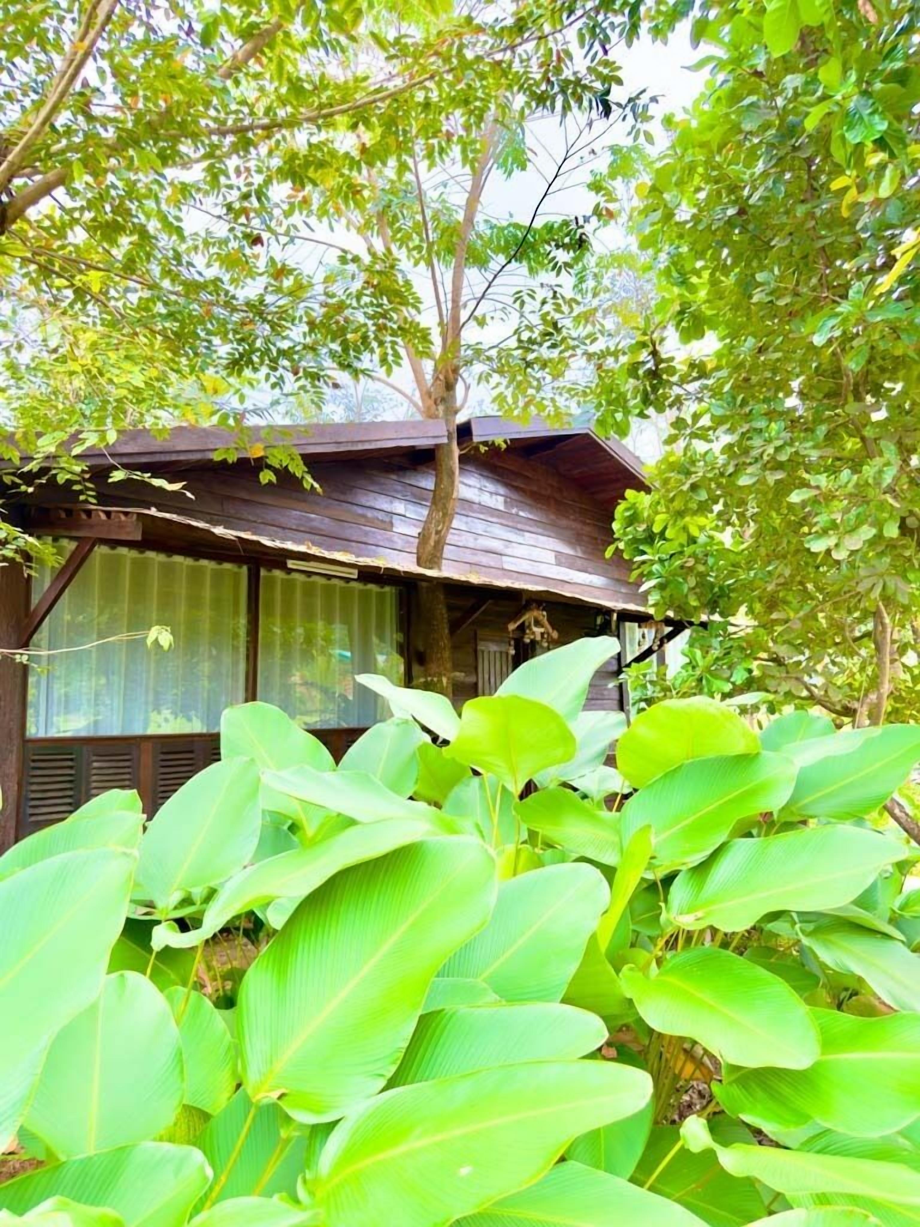 Quarto Duplo, 1 cama king-size, vista para a montanha | Ferro/tábua de engomar, Wi-fi grátis 