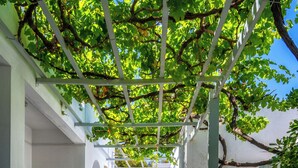 Uma trilha de pedra estreita leva a um edifício branco com persianas azuis e uma área coberta com vegetação.