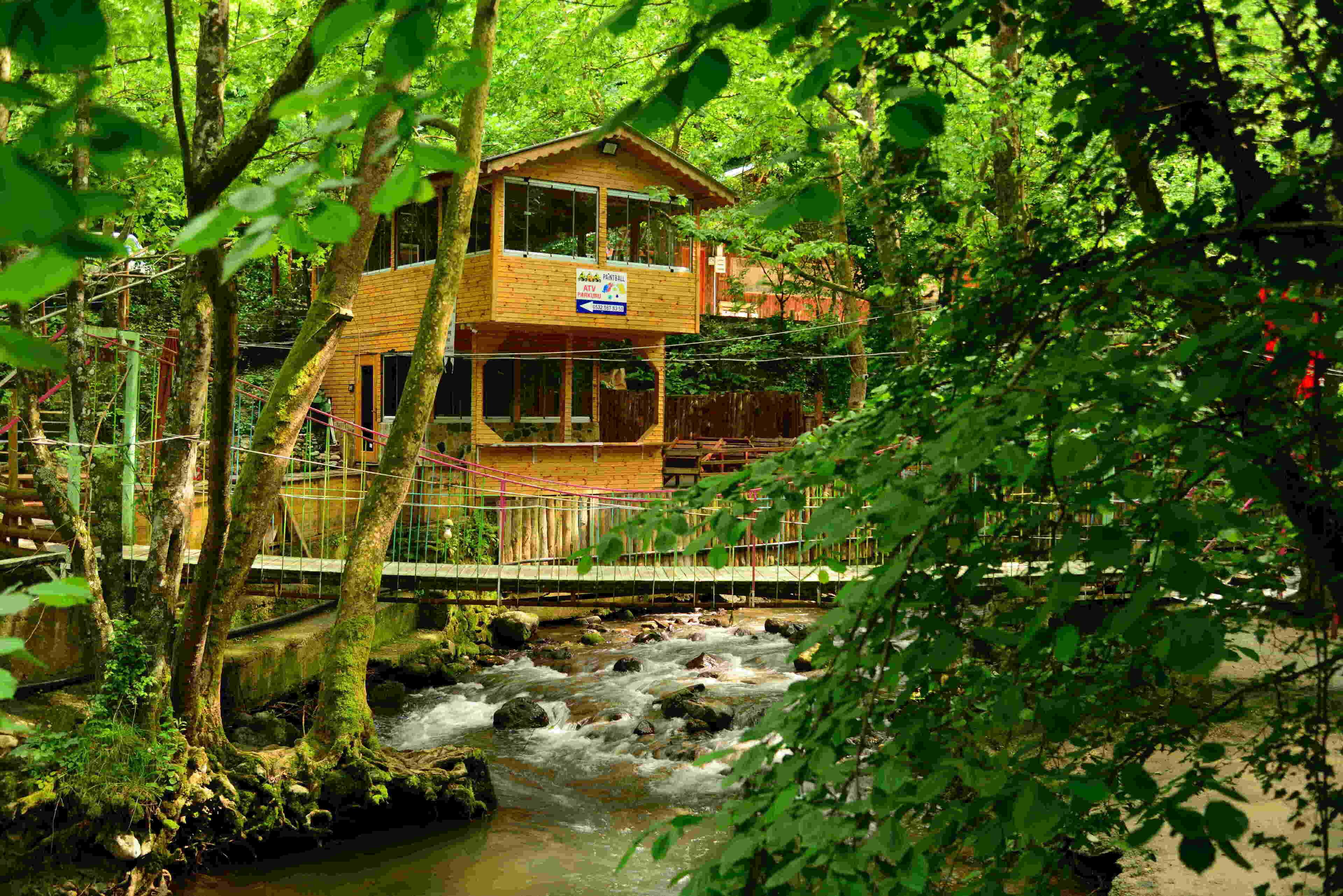 Uma cabana de madeira com varanda, rodeada por vegetação exuberante e um riacho.