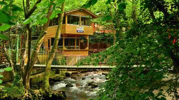 Uma cabana de madeira com varanda, rodeada por vegetação exuberante e um riacho.
