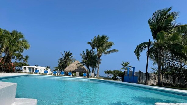Piscina azul límpida rodeada por palmeiras e espreguiçadeiras.