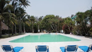 Piscina com cadeiras de descanso azuis e palmeiras.