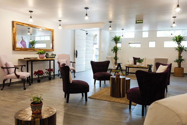 La Casa Del Mural - Mexico City