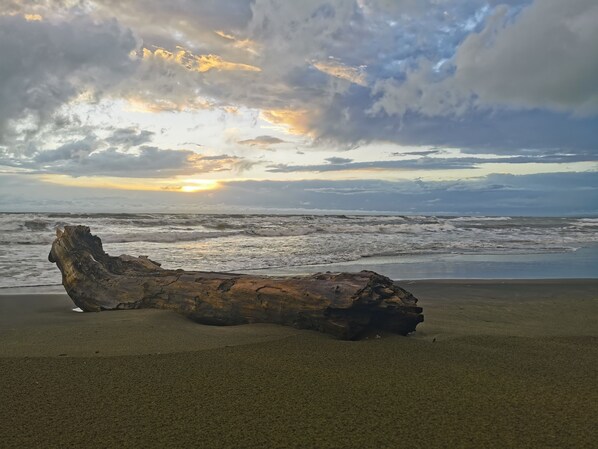 Beach, Rome and Airport: all within reach! Reviews, Deals & Photos 2026 ...