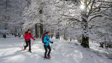 Passeios com raquetes de neve