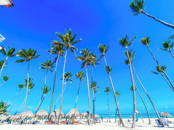 Beach Fun And Life - Punta Cana