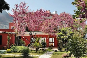 Um edifício com fachada vermelha, rodeado por um jardim com diversas plantas e uma árvore florida em tons de rosa.