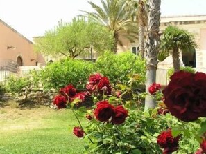 Um jardim com rosas vermelhas e palmeiras.