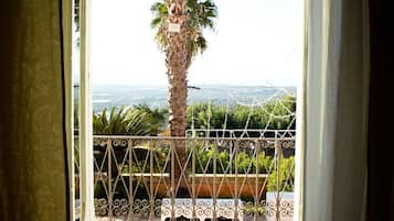 Vista de varanda com palmeira, grade de metal e paisagem distante.