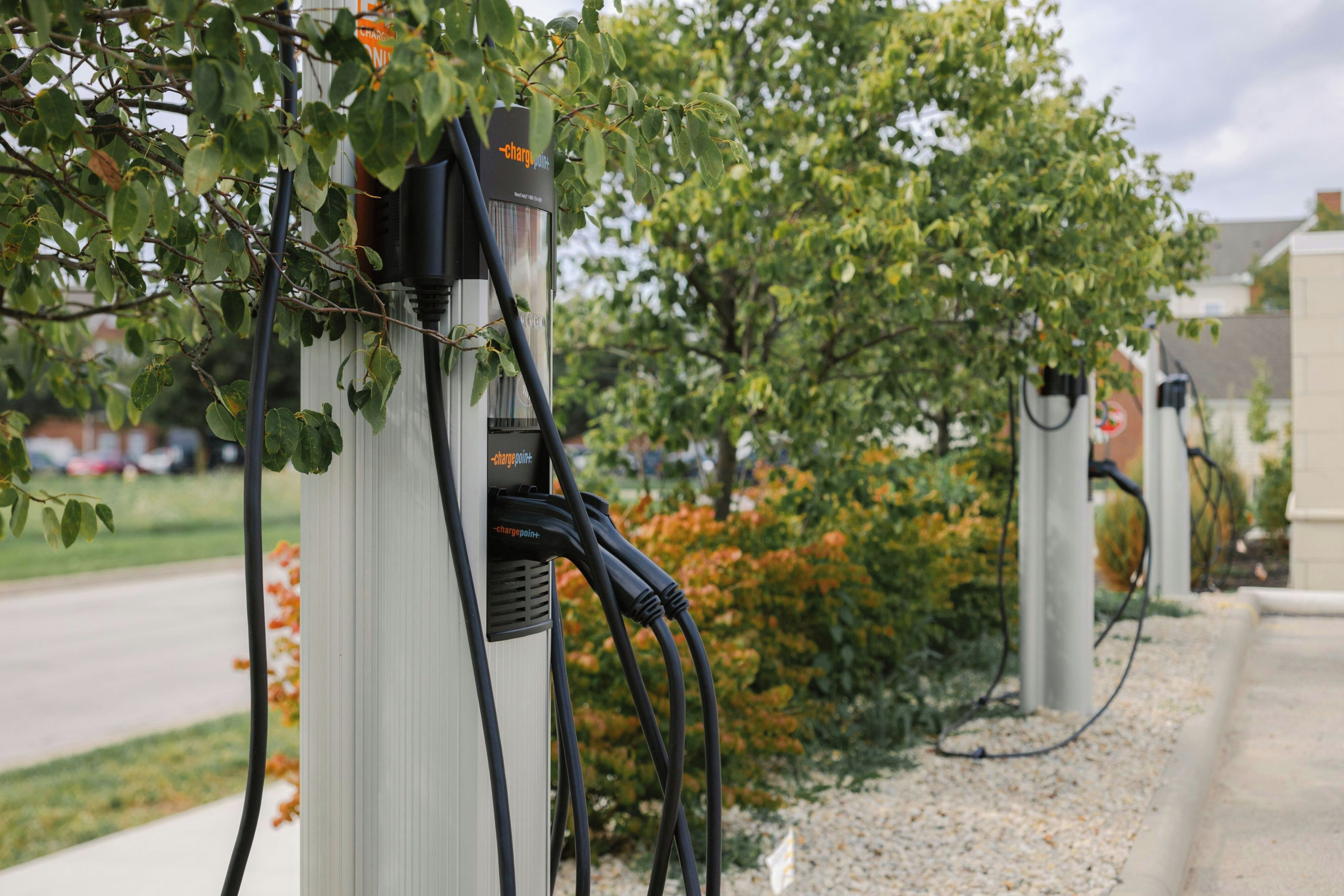 Estação de carregamento para veículos elétricos à beira da estrada, com vista para a vegetação e uma rua residencial ao fundo.