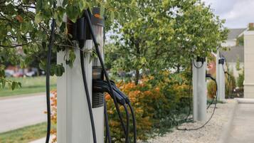 Estação de carregamento para veículos elétricos à beira da estrada, com vista para a vegetação e uma rua residencial ao fundo.