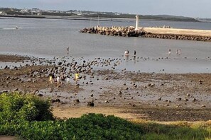 Uma área costeira com falésias rochosas, um farol e pessoas caminhando na praia.