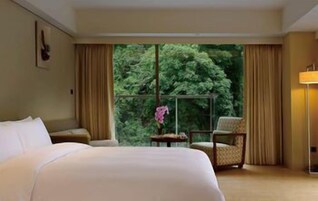 Quarto de hotel com uma cama grande, uma cadeira, uma mesa pequena e vista para árvores através de uma janela.