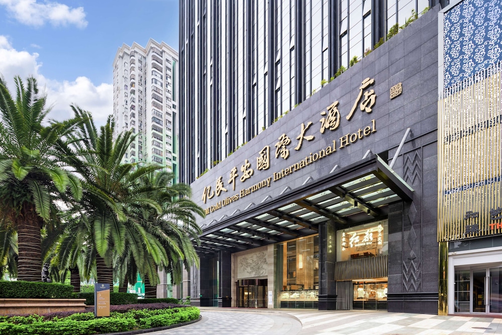 Shenzhenyiminpinanguojidajiudian - Shenzhen